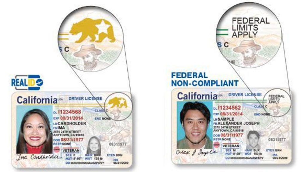 ¿Es obligatorio tramitar una REAL ID? - Acceso Latino